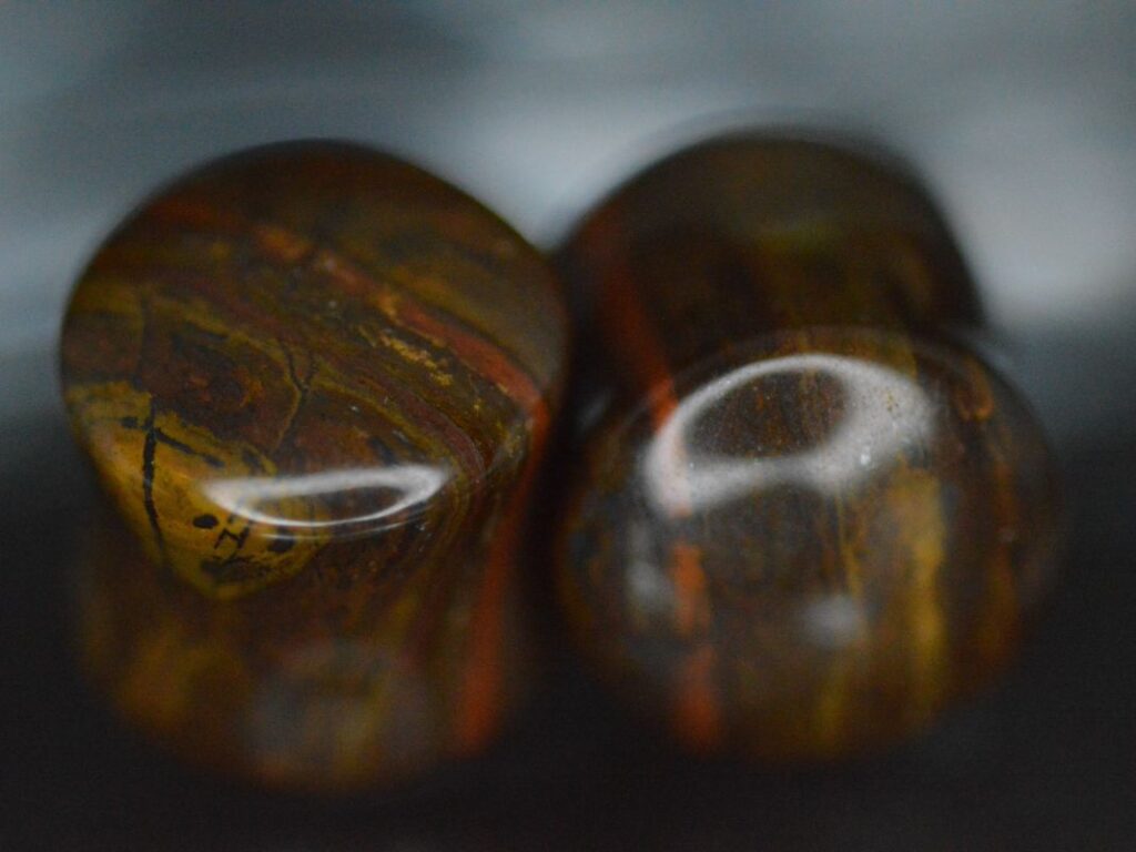 Evolve Tiger Iron Plugs – Pirate Piercing – Webshop